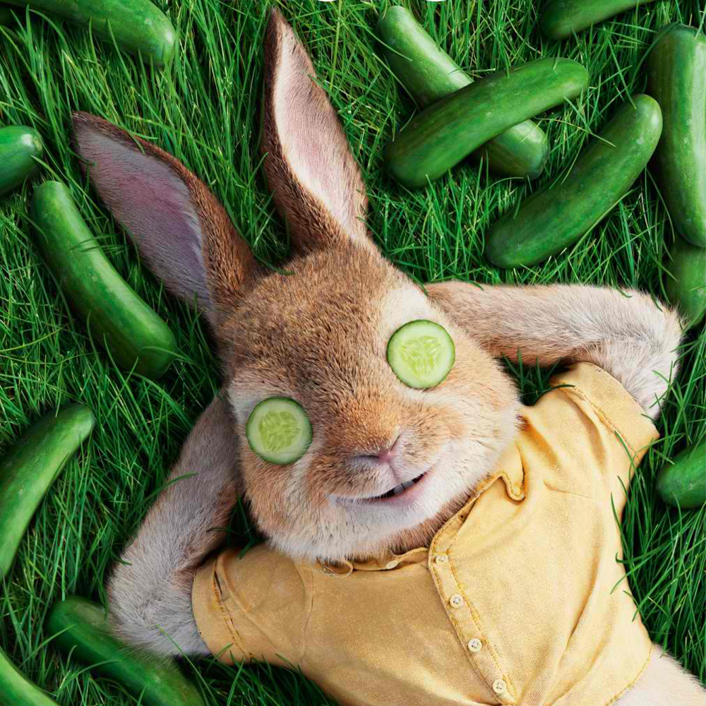 PR-Mopsy – PELIKULA MANIA