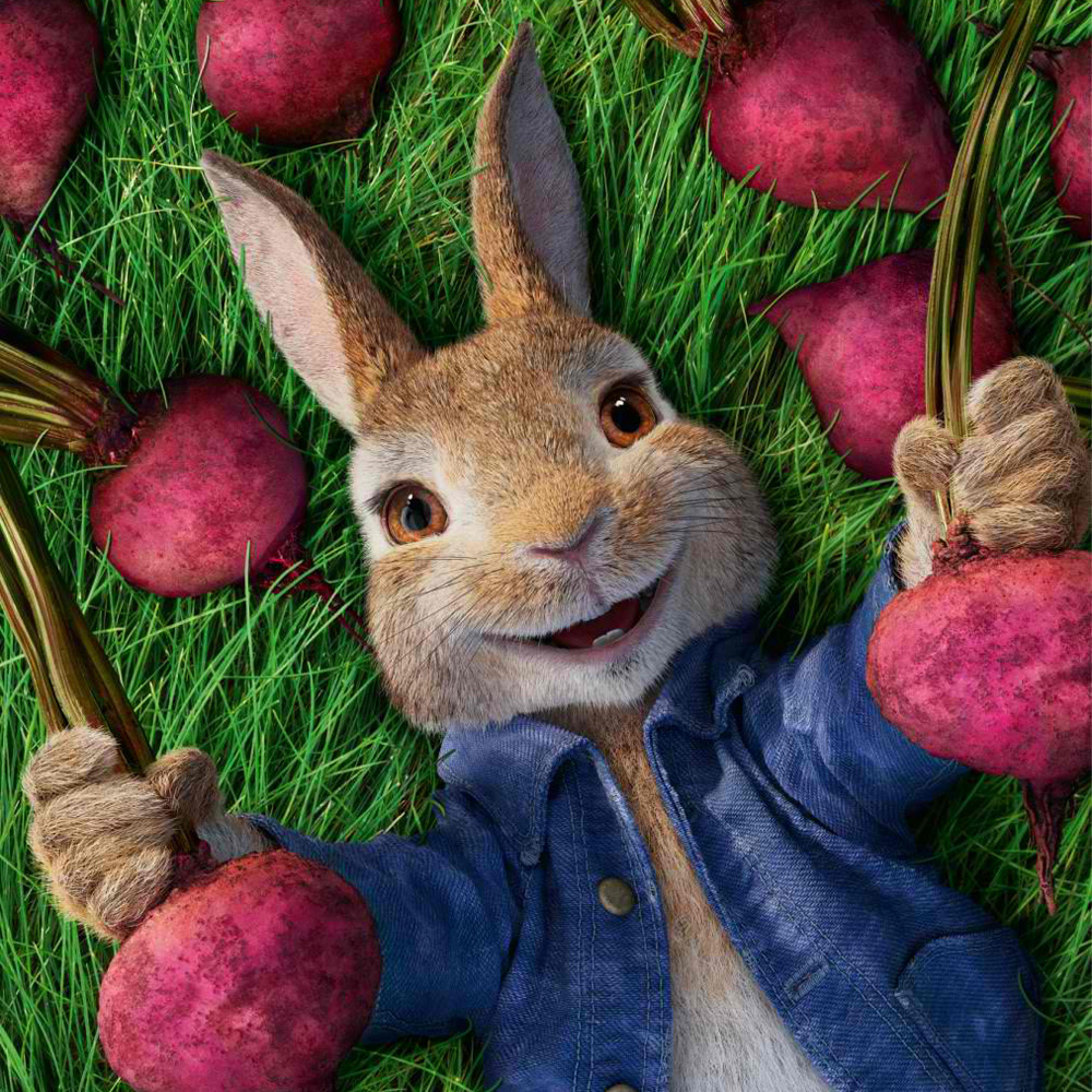James Corden Voices the Rascal, Rebel “Peter Rabbit” – PELIKULA MANIA