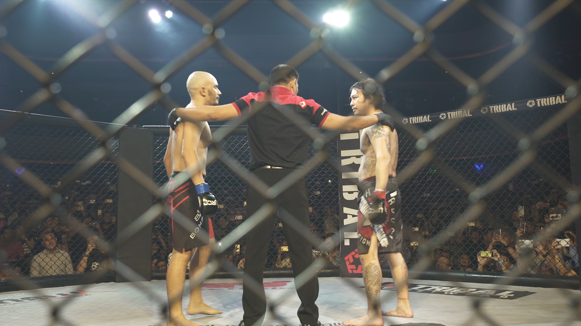 beastmode – PELIKULA MANIA