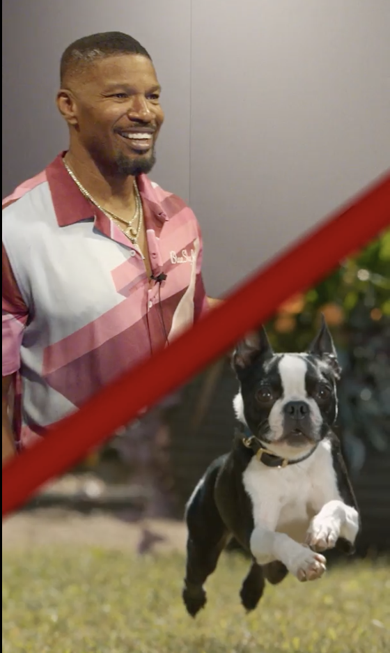 Will Ferrell lends voice to an abandoned dog in raunchy heartwarming ...